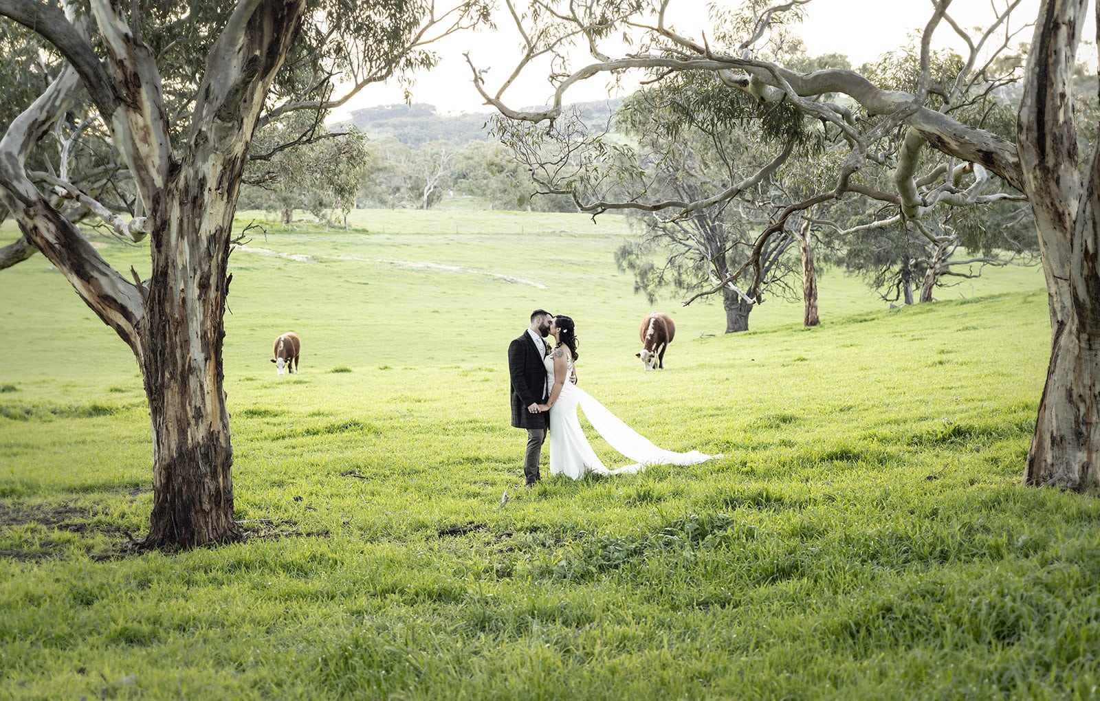 Quince Brook Wedding - Verity & Jake - SvenStudios