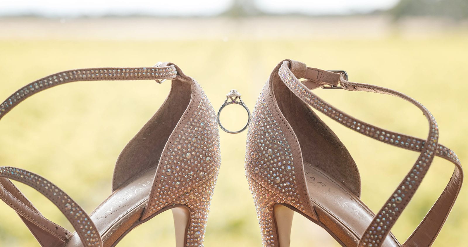 Lake Breeze Winery Wedding - Charlotte & Jake - SvenStudios